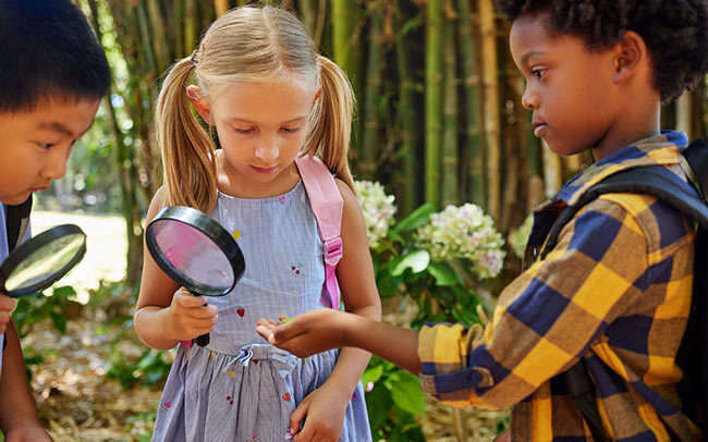 Events – Rimas Sweets